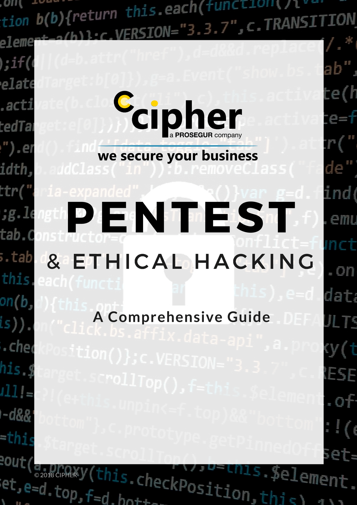 Guide to Pentesting and Ethical Hacking Guide | CIPHER