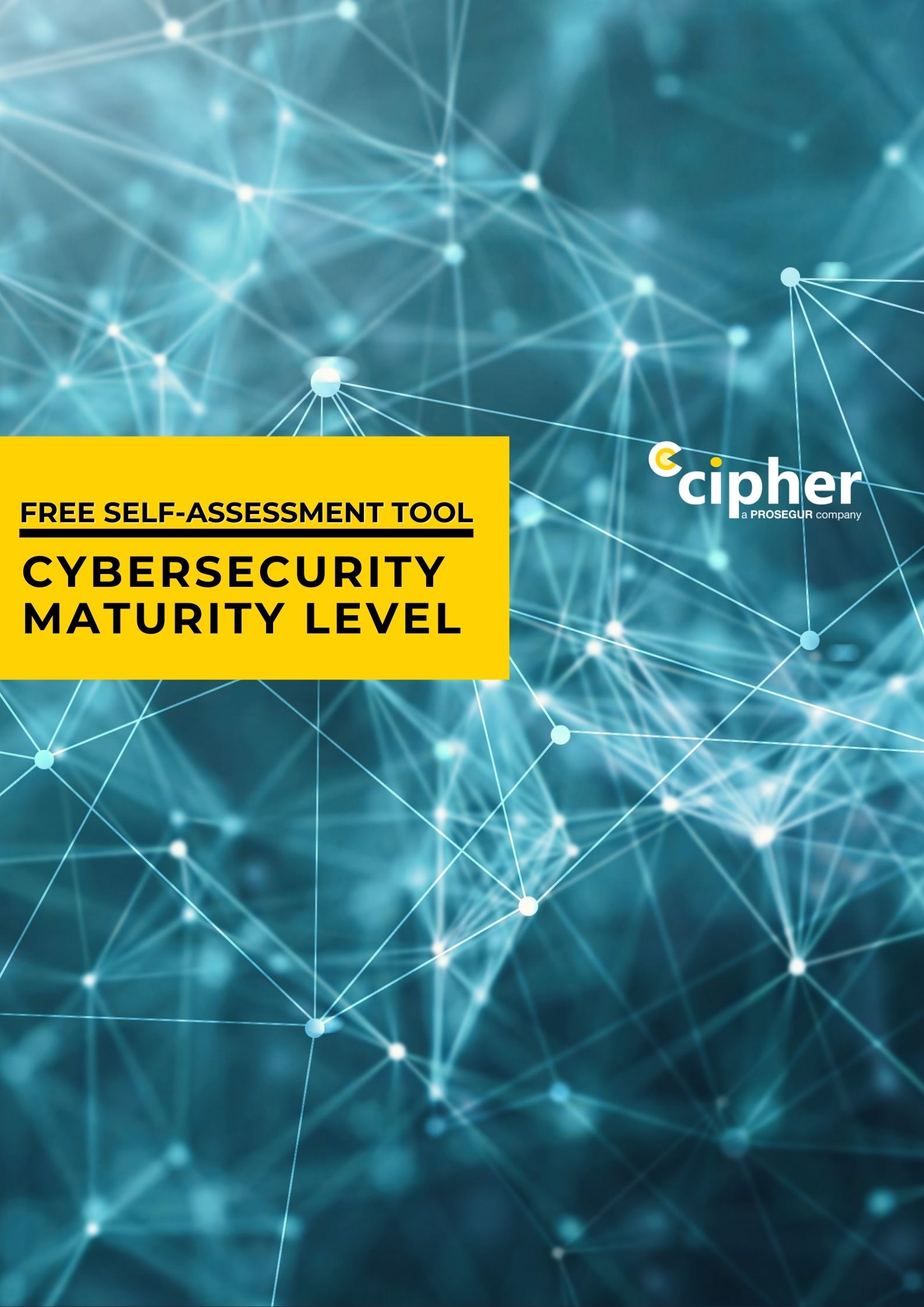 Cybersecurity Maturity Self-Assessment Survey